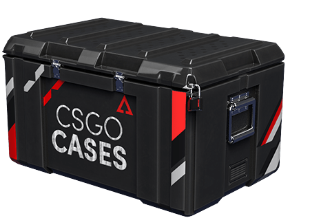 CSGOCASES.COM | nikita lox Case