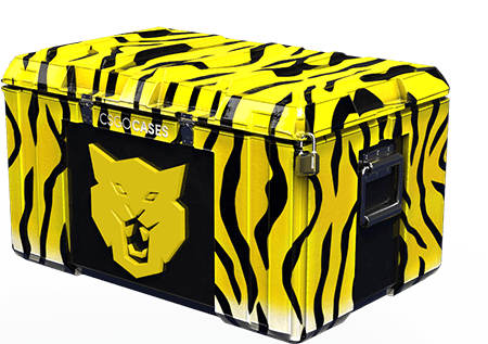 CSGOCASES.COM | Case